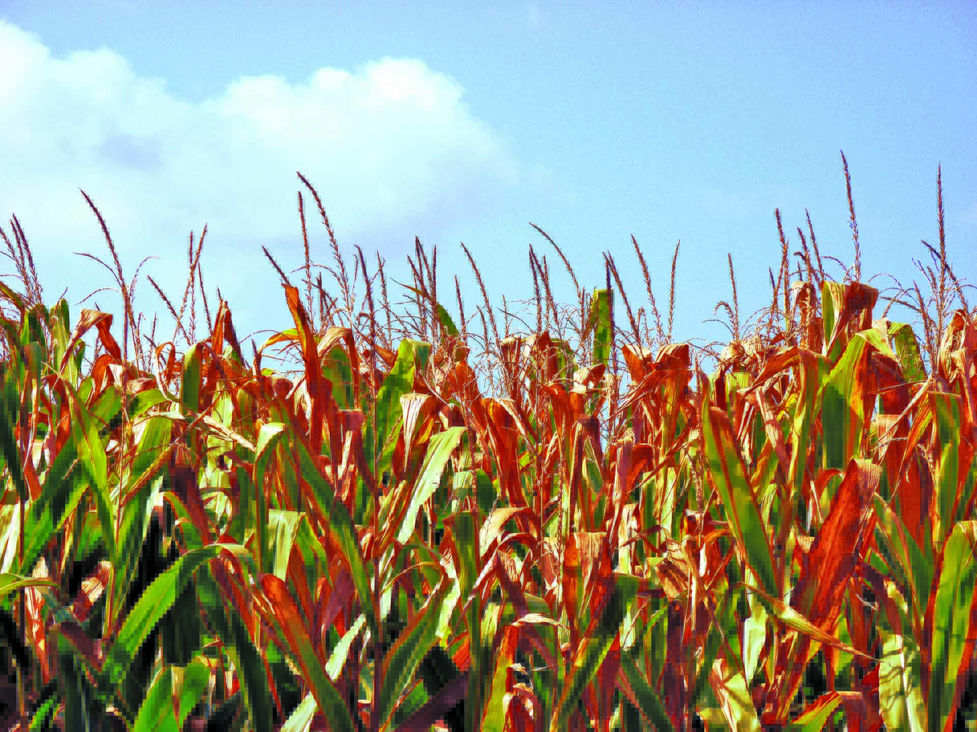 Governor Updates Declaration of Drought Emergency, Warnings and Watches ...