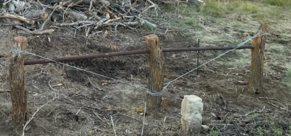 It’s been one year since widespread wildfires tore across western and ...