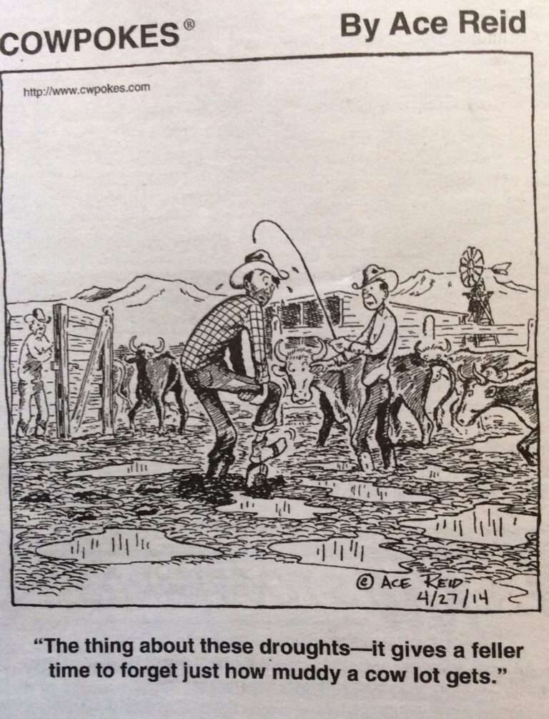 Ace Reid’s Cowpokes Cartoons Riding Into The Sunset - Rural Messenger