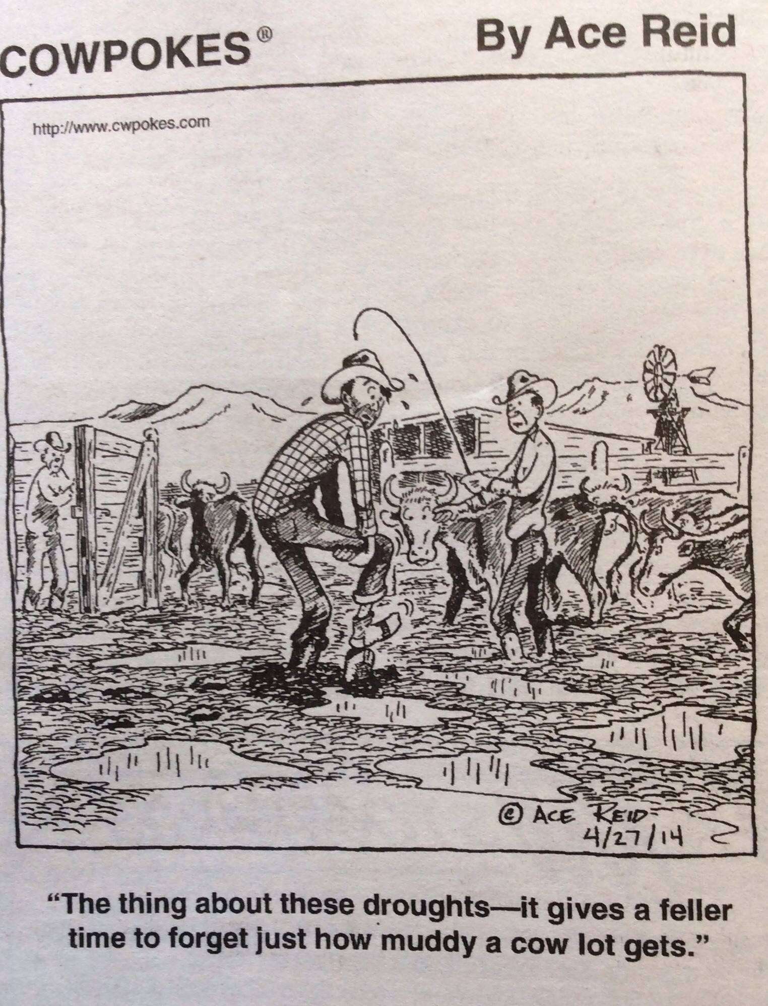 Ace Reid’s Cowpokes Cartoons Riding Into The Sunset - Rural Messenger