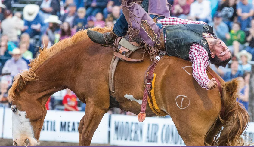 Flint Hills Rodeo stays in the saddle - Rural Messenger