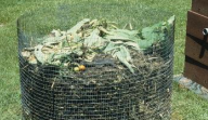 Composting: What to Add - Rural Messenger
